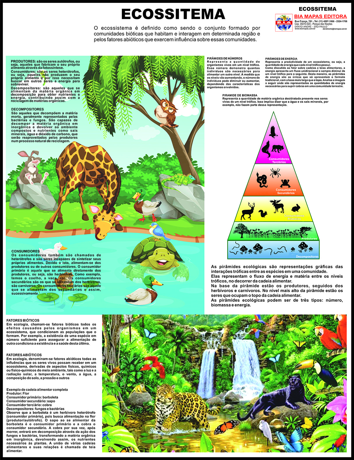 Atividades Sobre Ecossistema 7 Ano - NAZAEDU