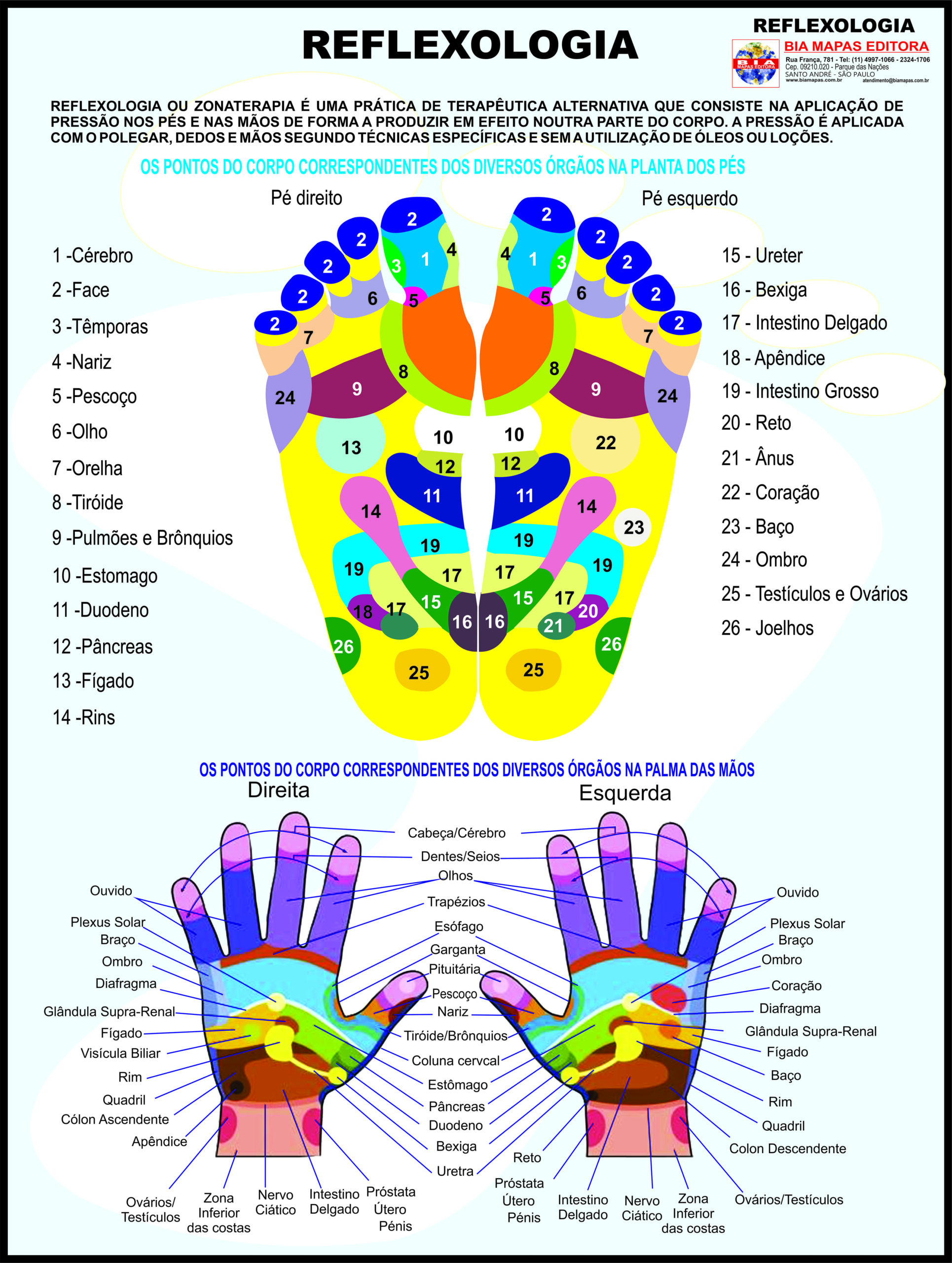 Mural Reflexologia • Bia Mapas